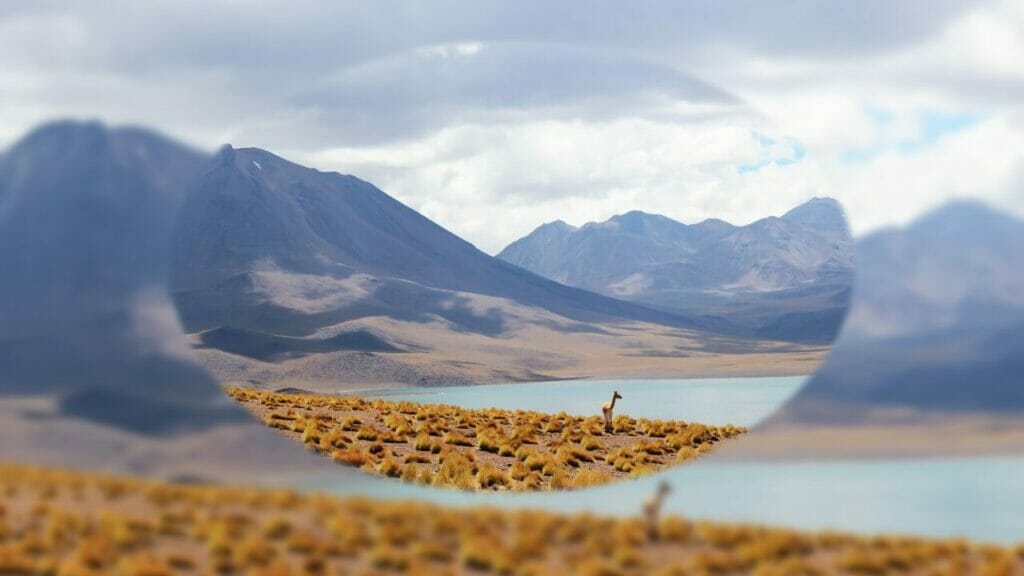 Everything with Pictures in PowerPoint - Part 3/3